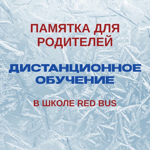 Red Bus School, школа английского языка в Южно-Сахалинске